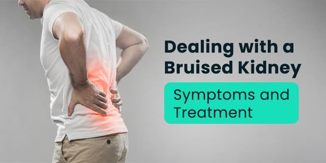 Dealing with a Bruised Kidney: Symptoms and Treatment