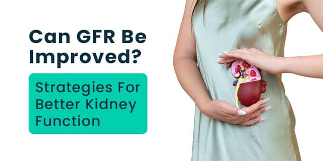 Can GFR Be Improved? Strategies for Better Kidney Function