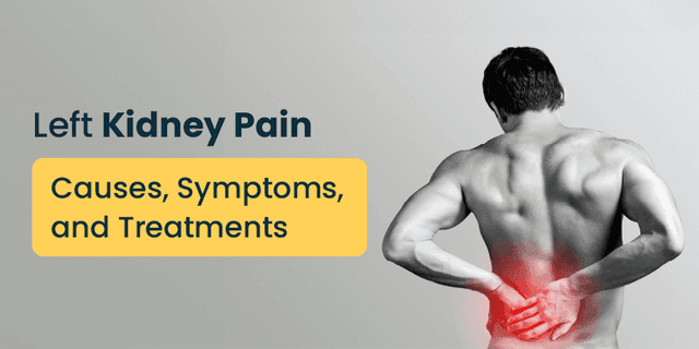 Left Kidney Pain: Causes, Symptoms, and Treatments