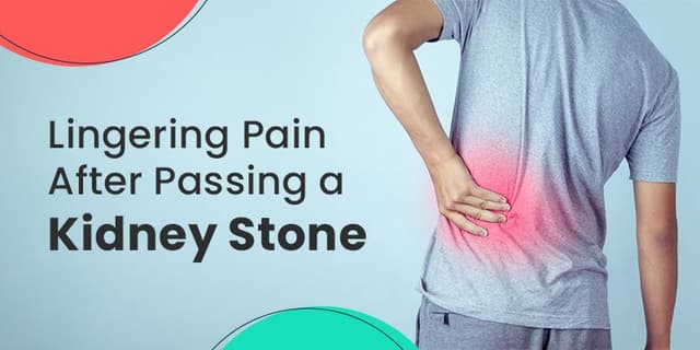 Lingering Pain After Passing a Kidney Stone: Causes and Relief
