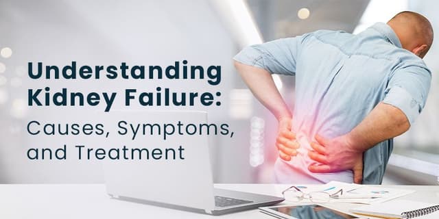 Understanding Kidney Failure: Causes, Symptoms, and Treatment